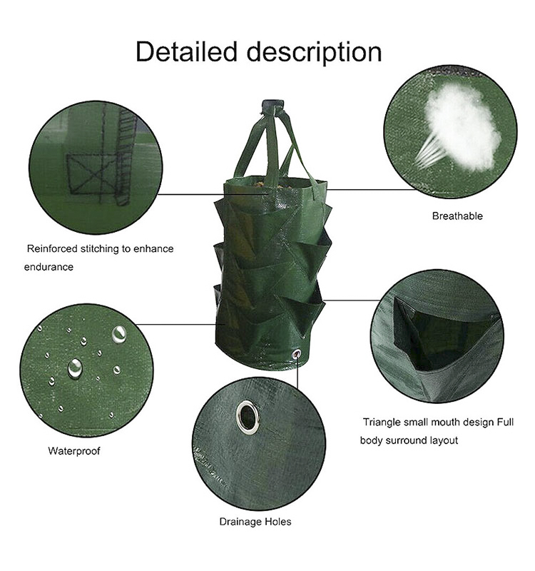 Colored plastic hanging grow bags