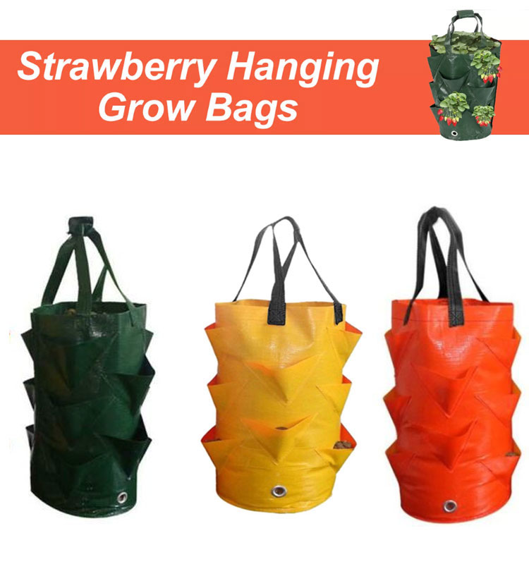 Colored plastic hanging grow bags