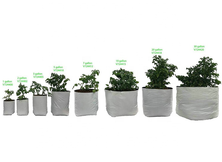 Perforated breathable plastic grow bags