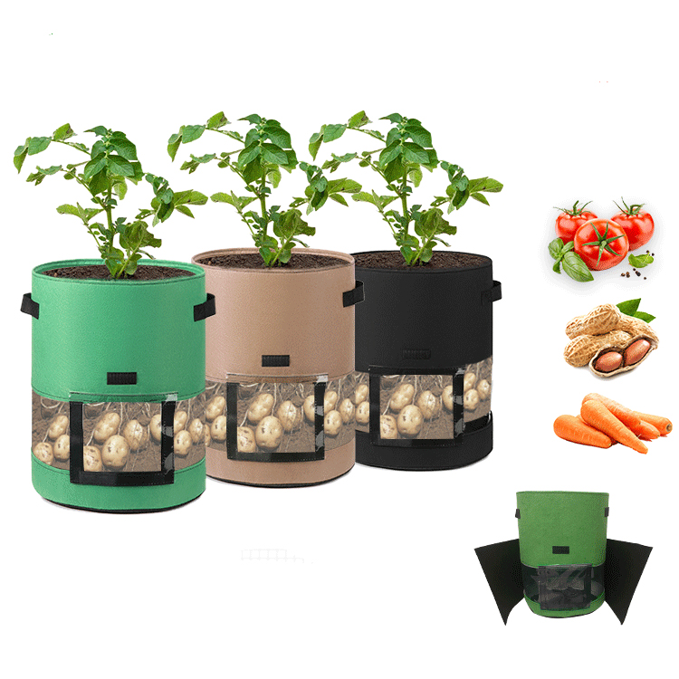 Translucent design fabric grow bags | Grow Bag Wholesale