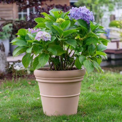 Ceramic flower pot production process | Grow Bag Wholesale